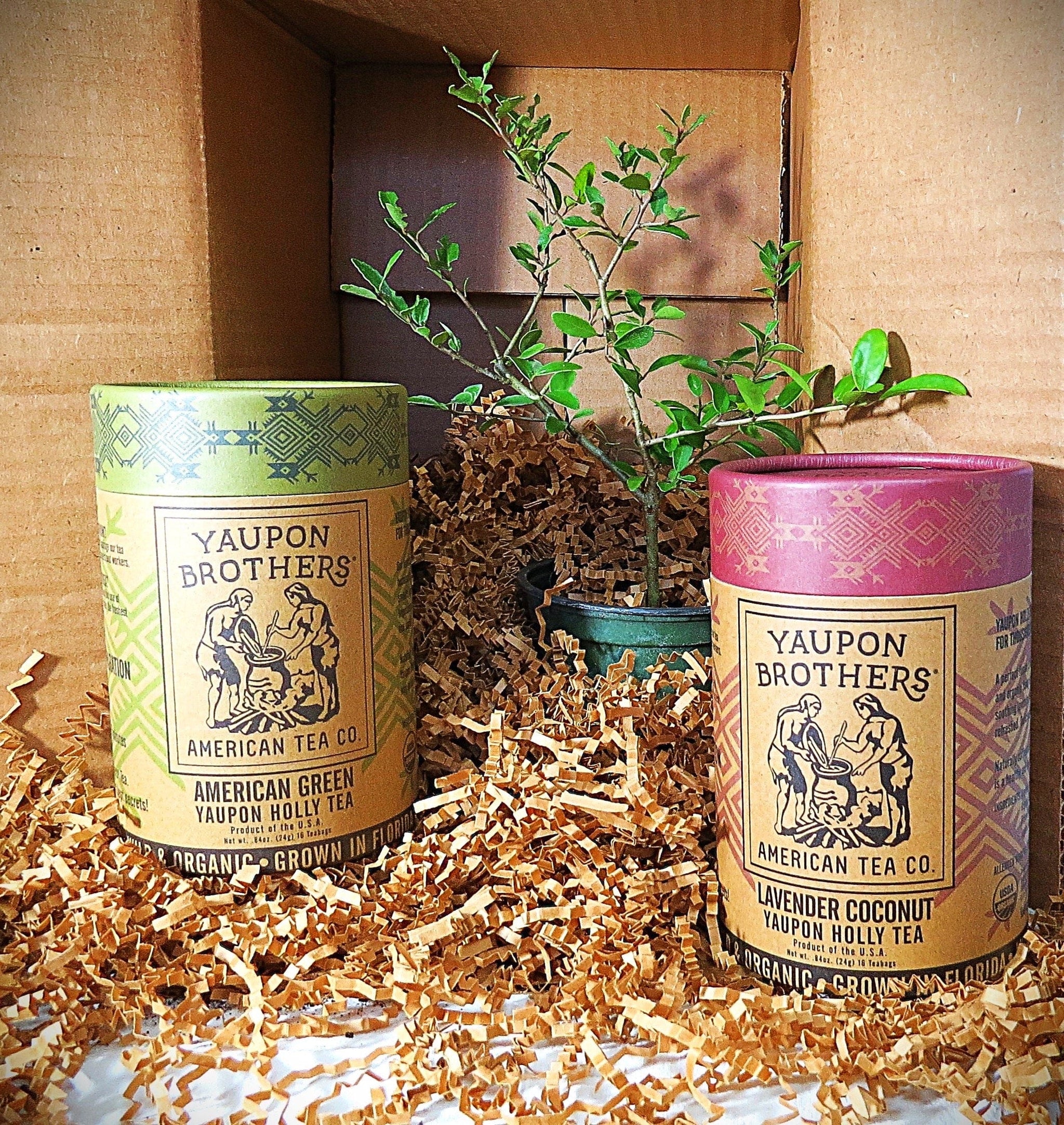Shop Now – Yaupon Brothers American Tea Co.